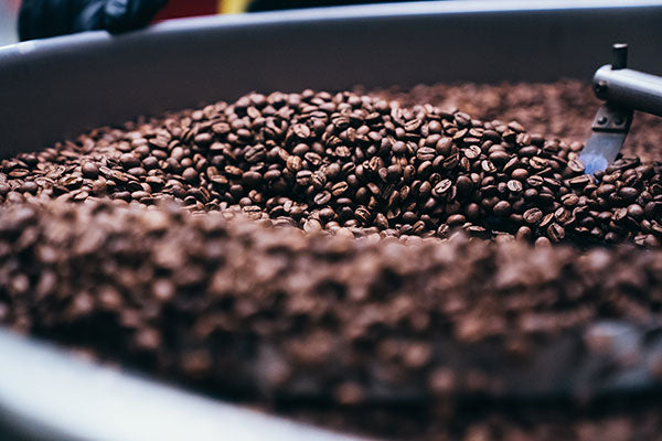 100% Panama Geisha Coffee - Fresh Roasted Whole Bean – Java Pura