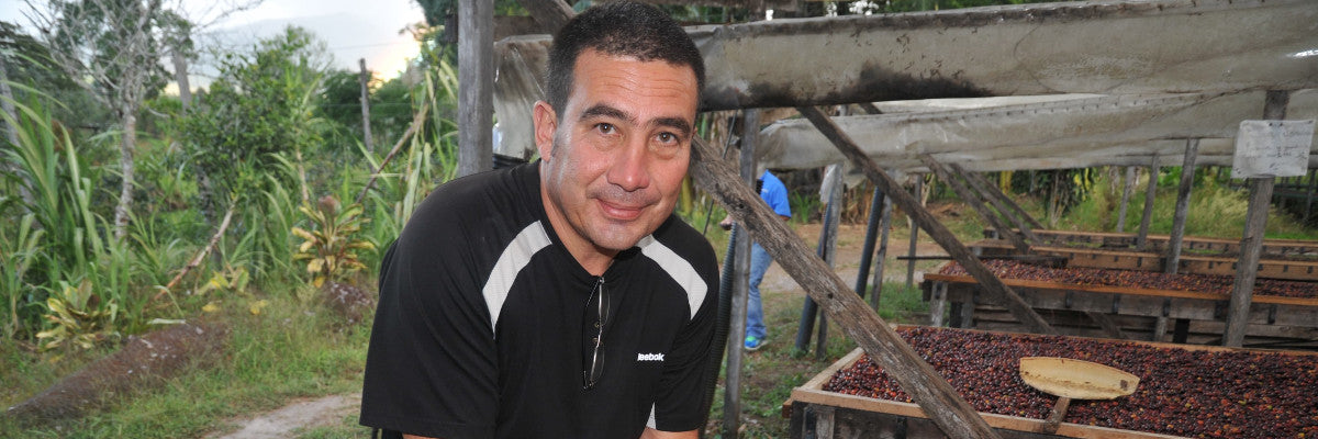 Hartmann Estate – Java Pura