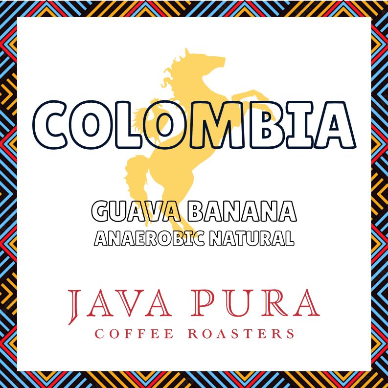Colombia Guava Banana – Java Pura
